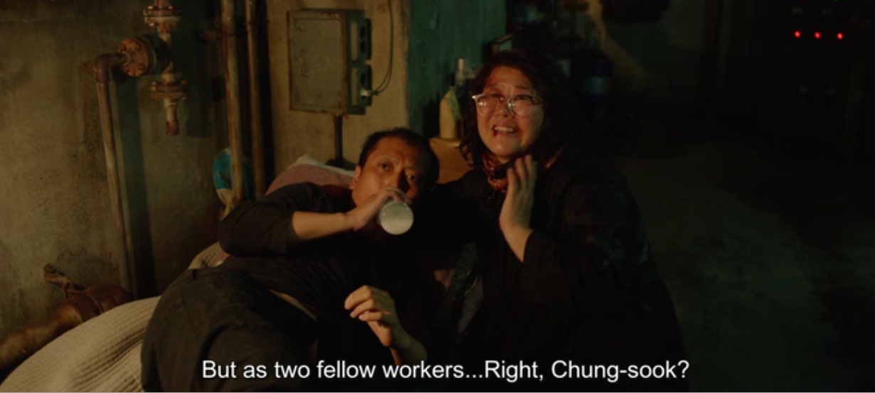 Crossing the line: Parasite and the horror of bourgeois domesticity